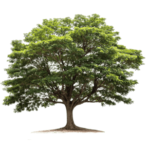 Ted Harbit Obituary (1935 - 2025) - Fishers, Indiana